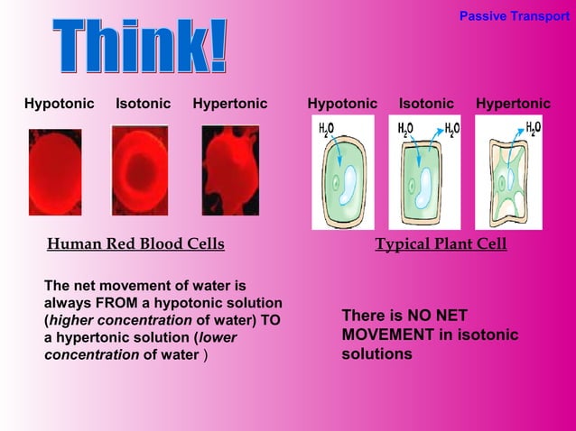 Movement of Substances Across Membrane Plasma | PPT