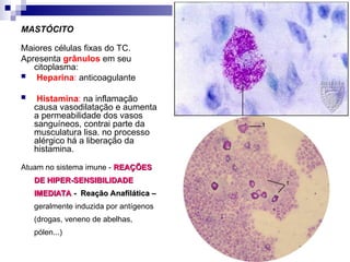 histologia do Tecido Conjuntivo e suas caracteristicas | PPT