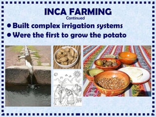3 1 south america and the incas | PPT