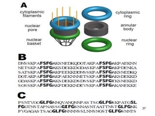 3-2-Intracellular Compartments & Protein Sorting.pptx