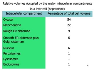 3-2-Intracellular Compartments & Protein Sorting.pptx