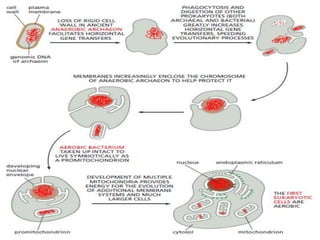 3-2-Intracellular Compartments & Protein Sorting.pptx