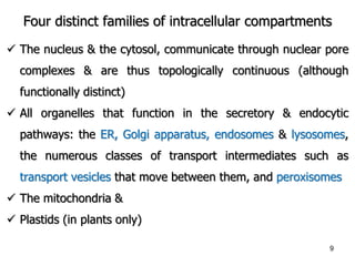 3-2-Intracellular Compartments & Protein Sorting.pptx