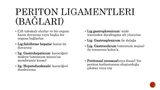 3-2-periton.pptx