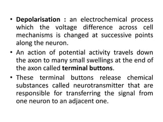 3 2-physiology (genetics, anatomy, biochemistry) | PPT