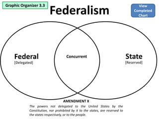Separation Of Powers Graphic Organizer