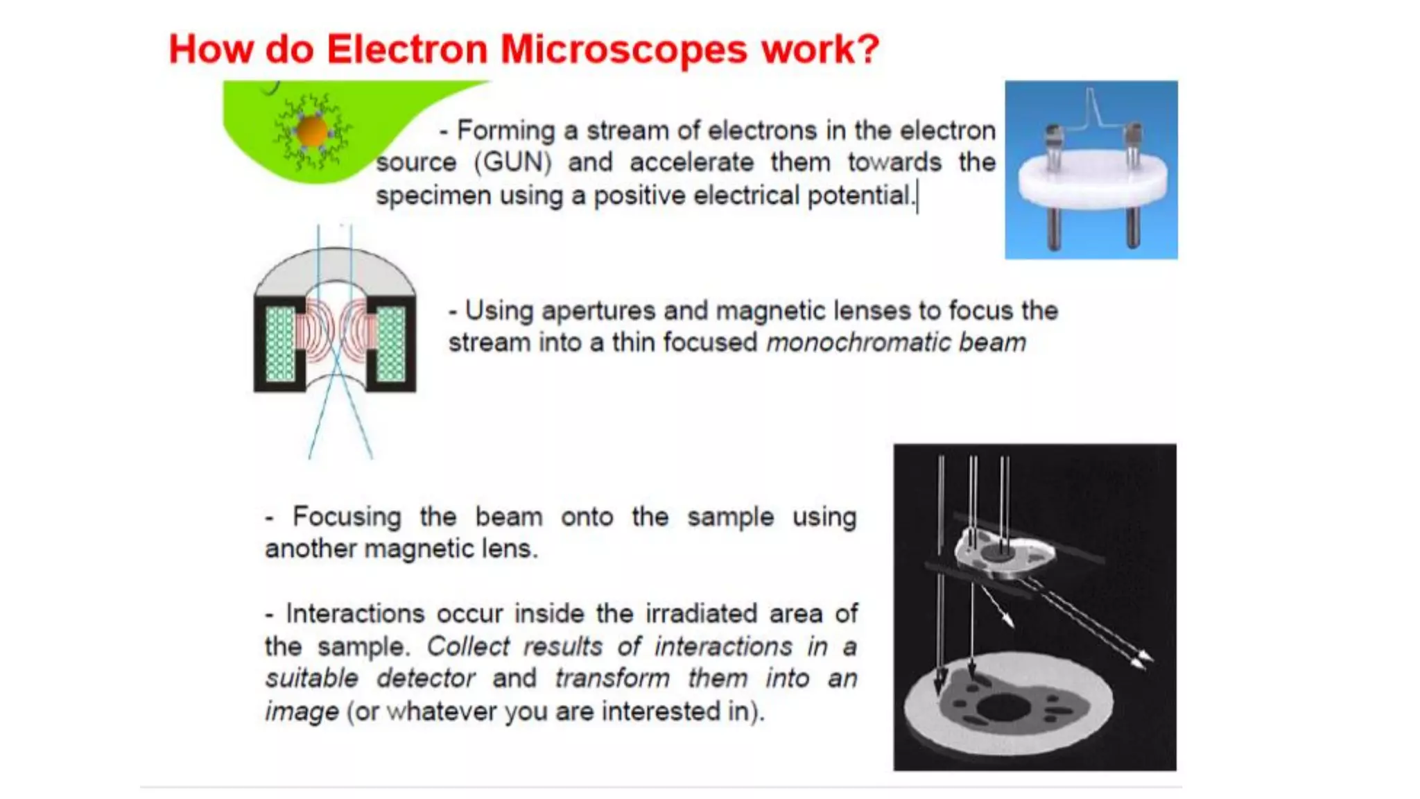 Scanning electron microscope (SEM), TEM | PDF