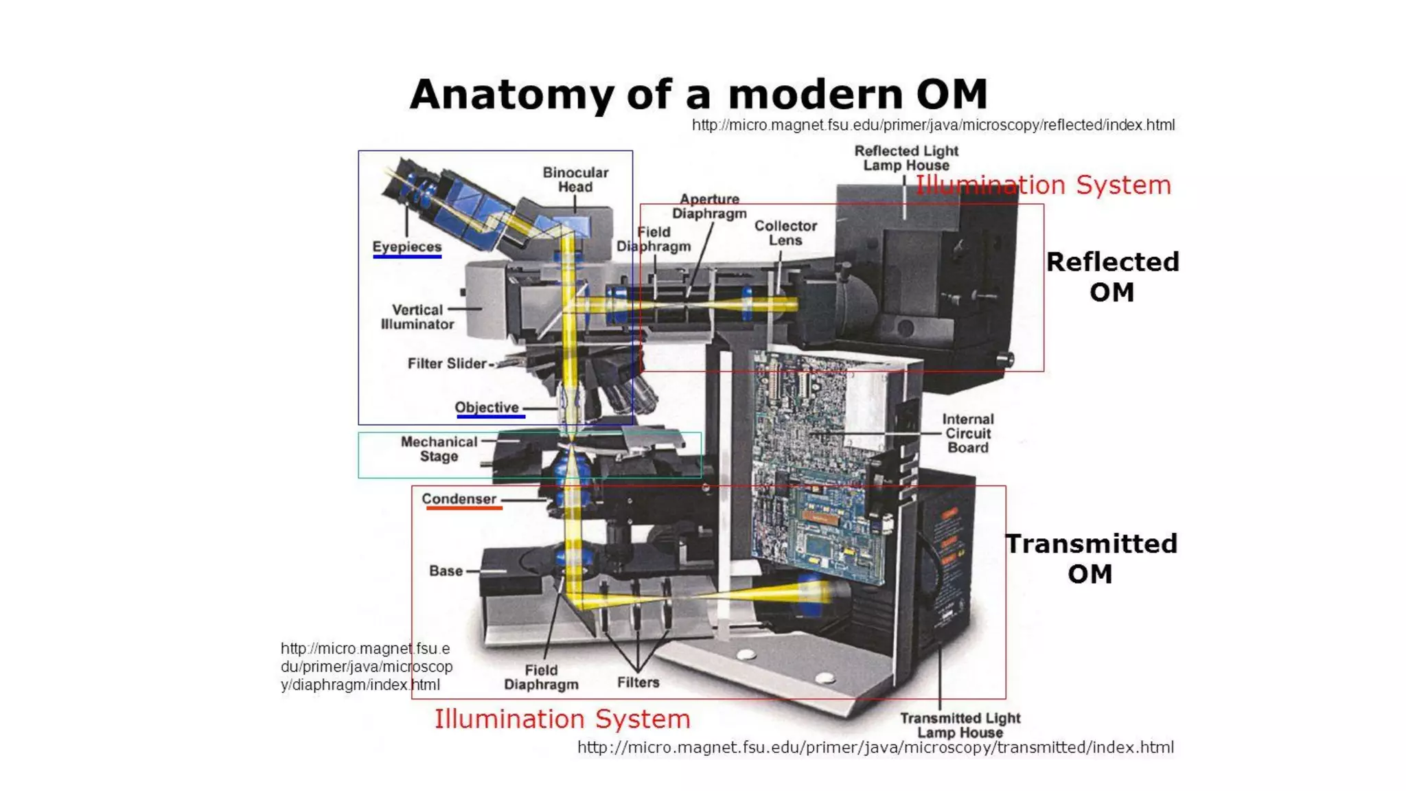 Scanning electron microscope (SEM), TEM | PDF