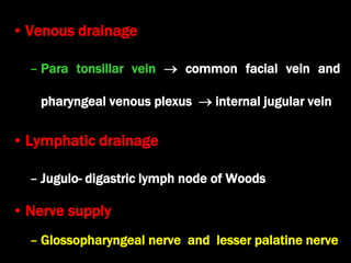 Tonsils and adenoids | PPT