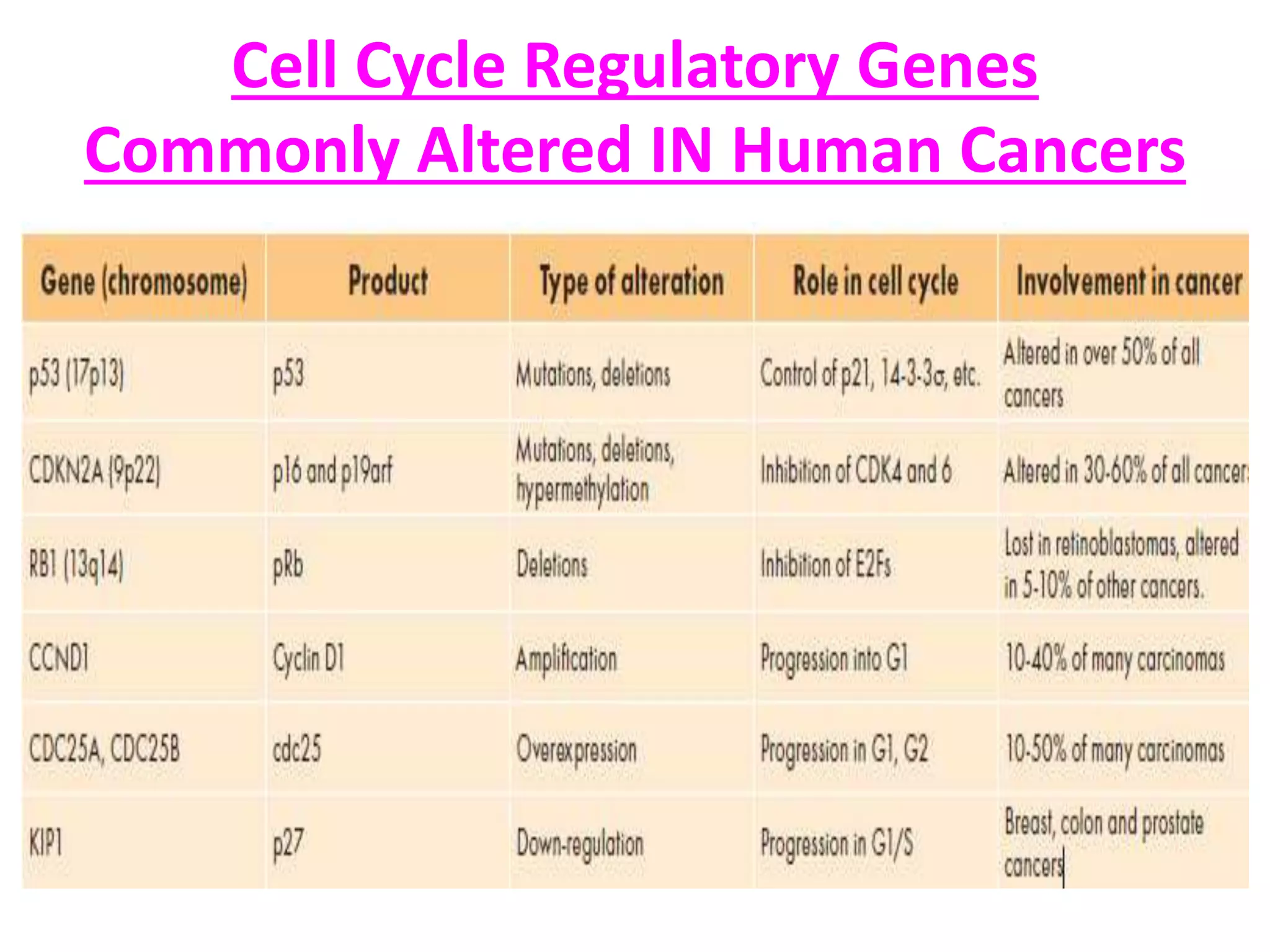 molecular pathogenesis of carcinogenesis | PPT