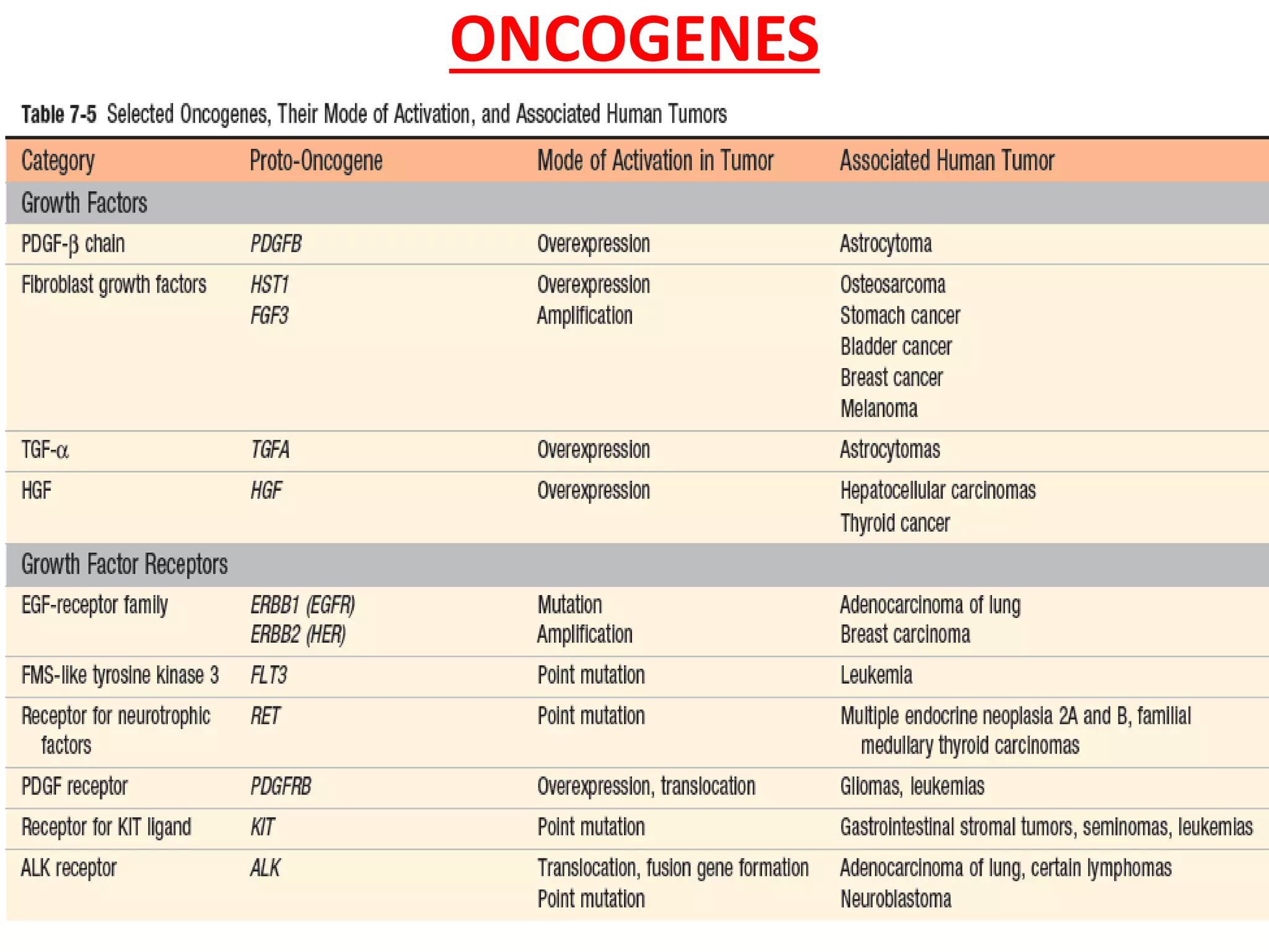 molecular pathogenesis of carcinogenesis | PPT