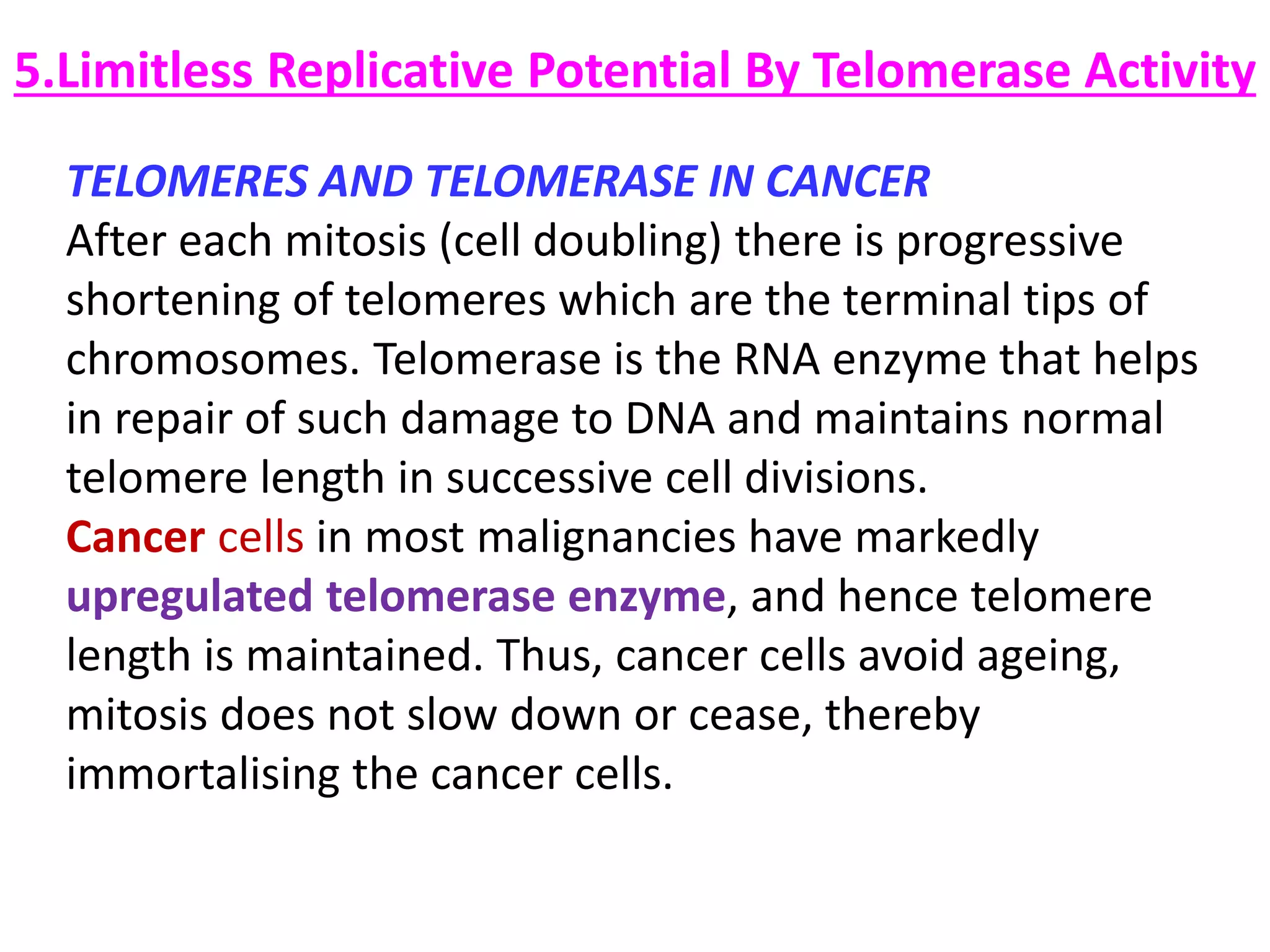 molecular pathogenesis of carcinogenesis | PPT