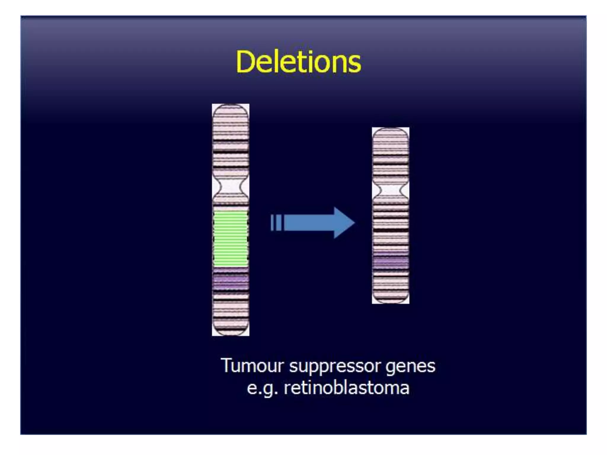 molecular pathogenesis of carcinogenesis | PPT