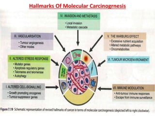 molecular pathogenesis of carcinogenesis | PPTX