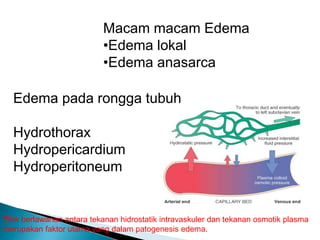 Patologi/Gangguan pada pembuluh darah | PPT