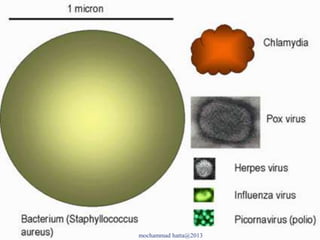 Virologi Dasar | PPTX