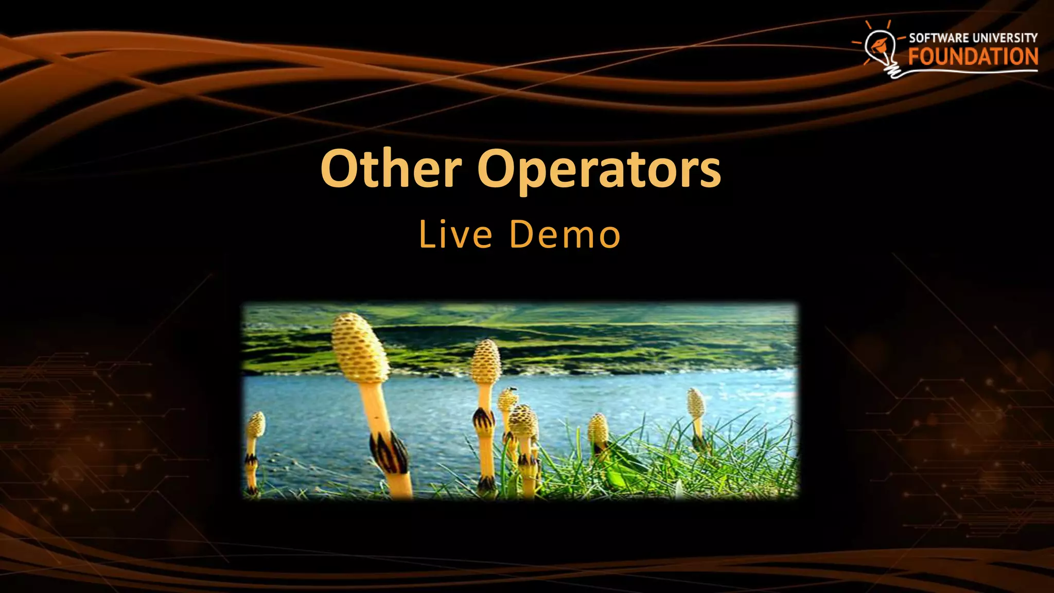 03 Operators Expressions And Statements Pptx Programming Languages Computing