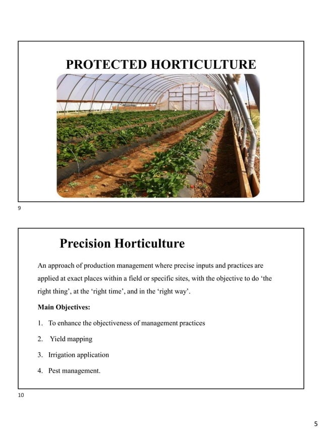 3. present and future prospects | PDF