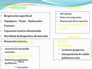 signos y sintomas de enfermedades pleuropulmonares | PPTX