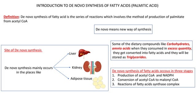 De novo synthesis of fatty acids (palmitic (2) | PPTX | Chemistry | Science