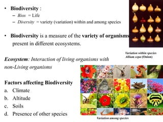 3.1 biodiversity - Biology - Class 9 - FBISE Islamabad Pakistan | PPT