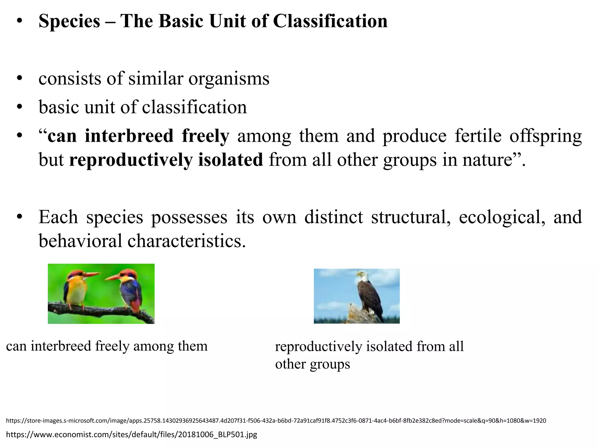 3.2 classification aims and principles - Biology - Class 9 - FBISE ...