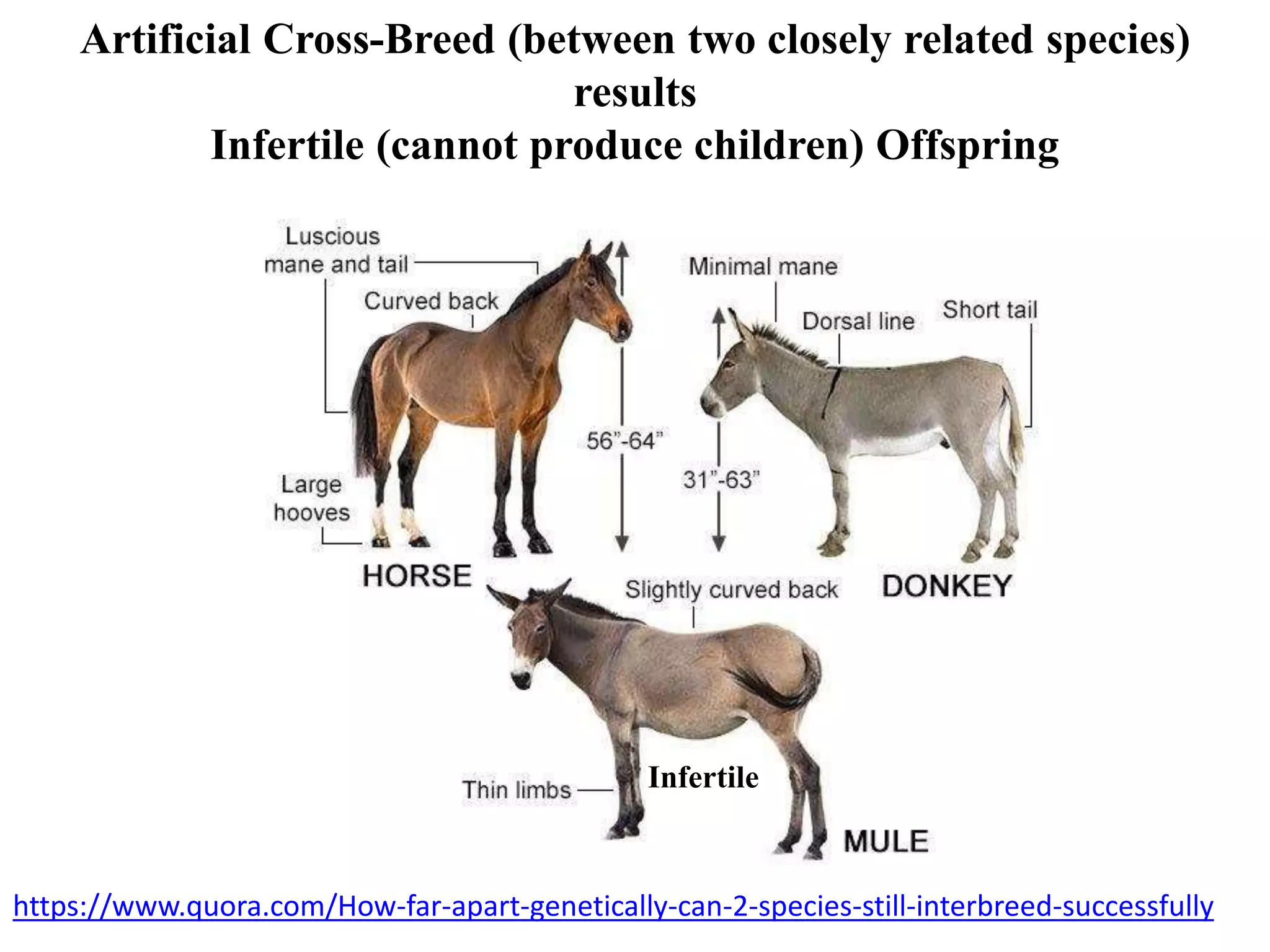 3.2 classification aims and principles - Biology - Class 9 - FBISE ...