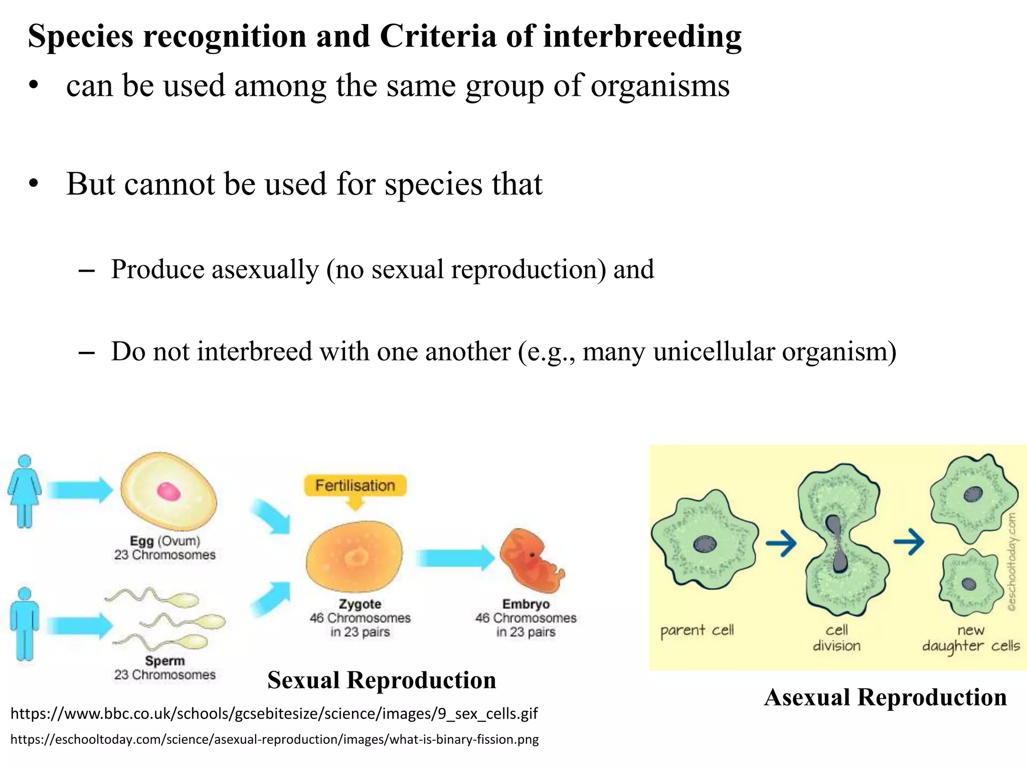 3.2 classification aims and principles - Biology - Class 9 - FBISE ...
