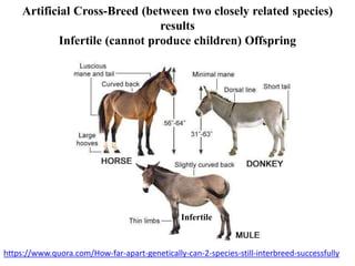 3.2 classification aims and principles - Biology - Class 9 - FBISE ...