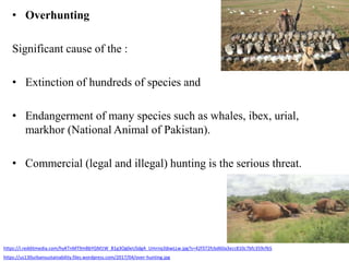 3.6 conservation of biodiversity - Biology - Class 9 - FBISE ...