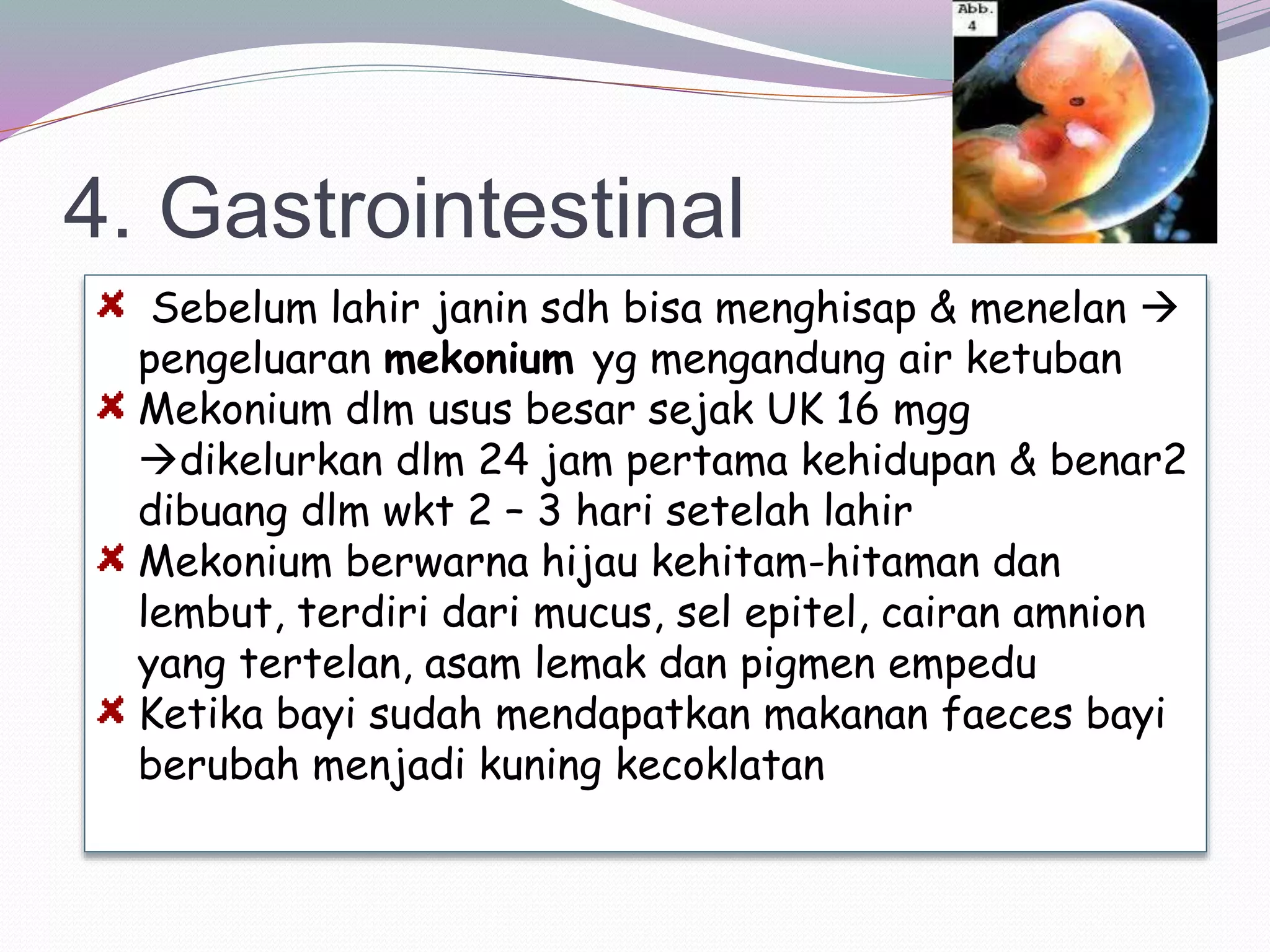 Adaptasi BBL di luar uterus | PPT