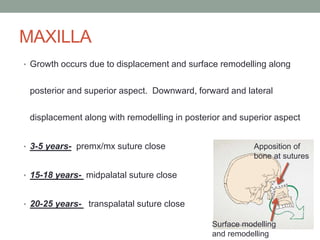 3. cranio facial development | PPTX | Pregnancy | Reproductive Health