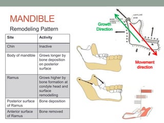 3. cranio facial development | PPTX | Pregnancy | Reproductive Health