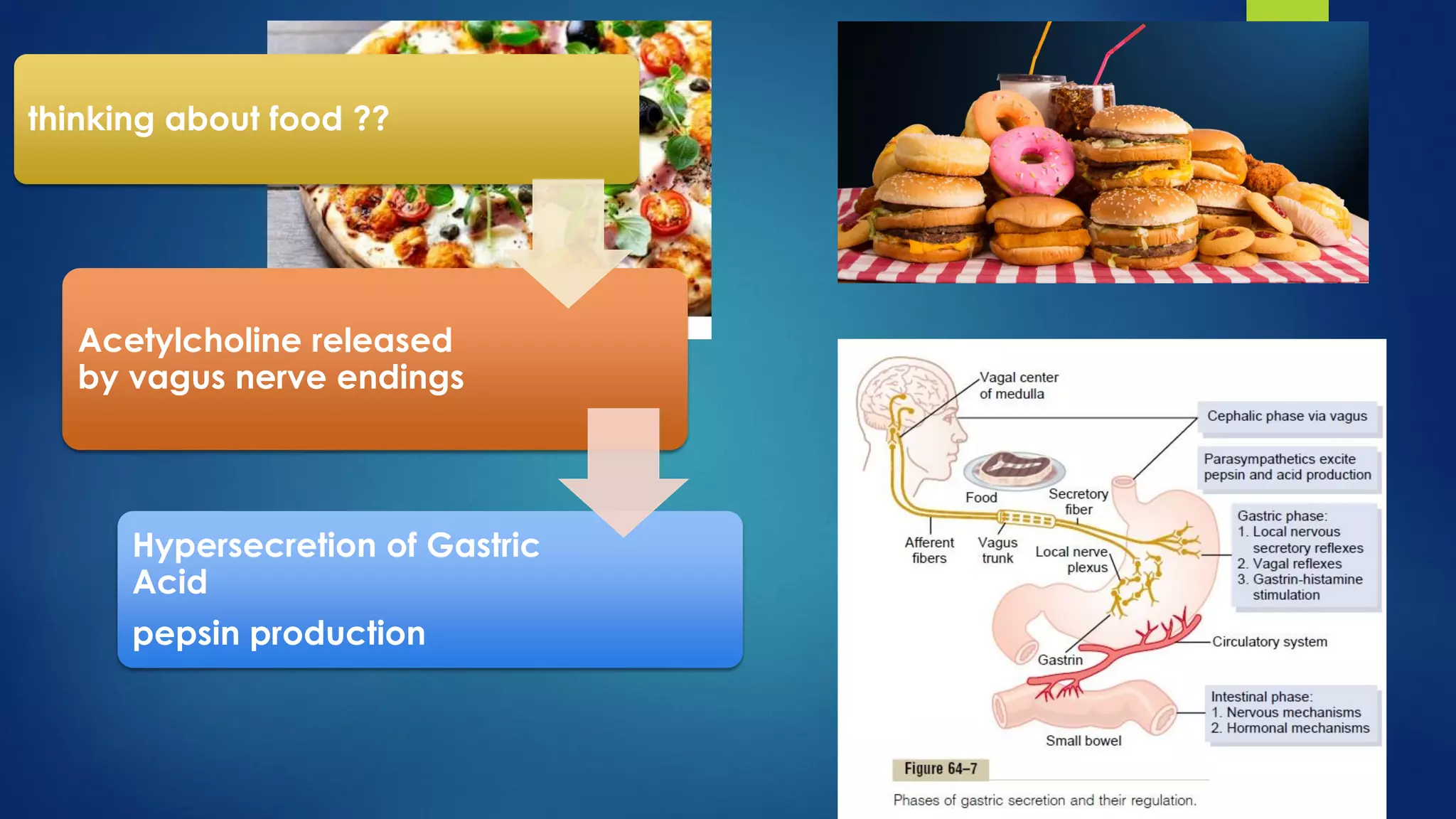 3. drugs used in gastrointestinal system | PDF