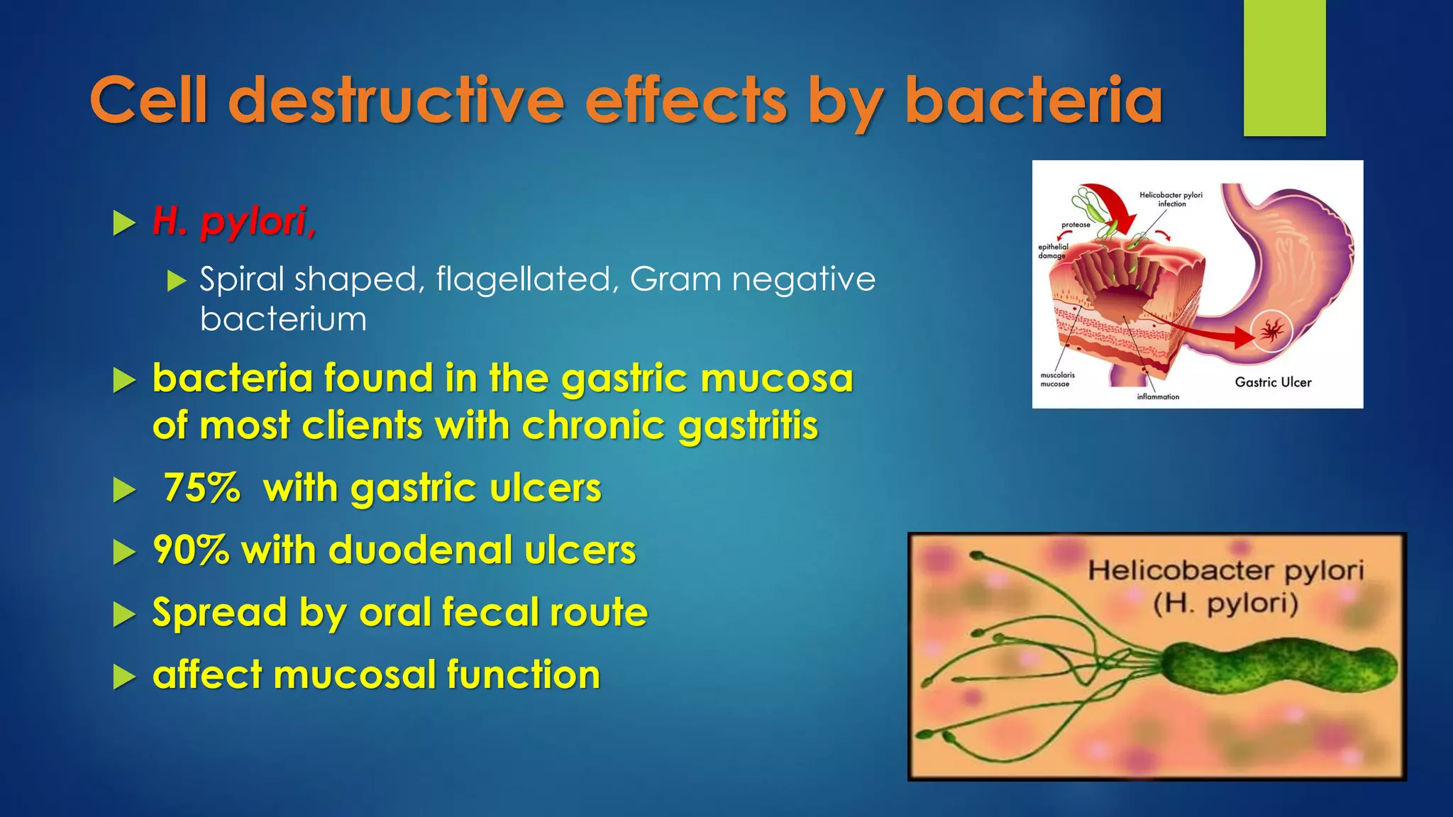 3. drugs used in gastrointestinal system | PDF