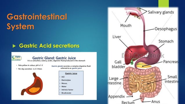 3. drugs used in gastrointestinal system | PDF