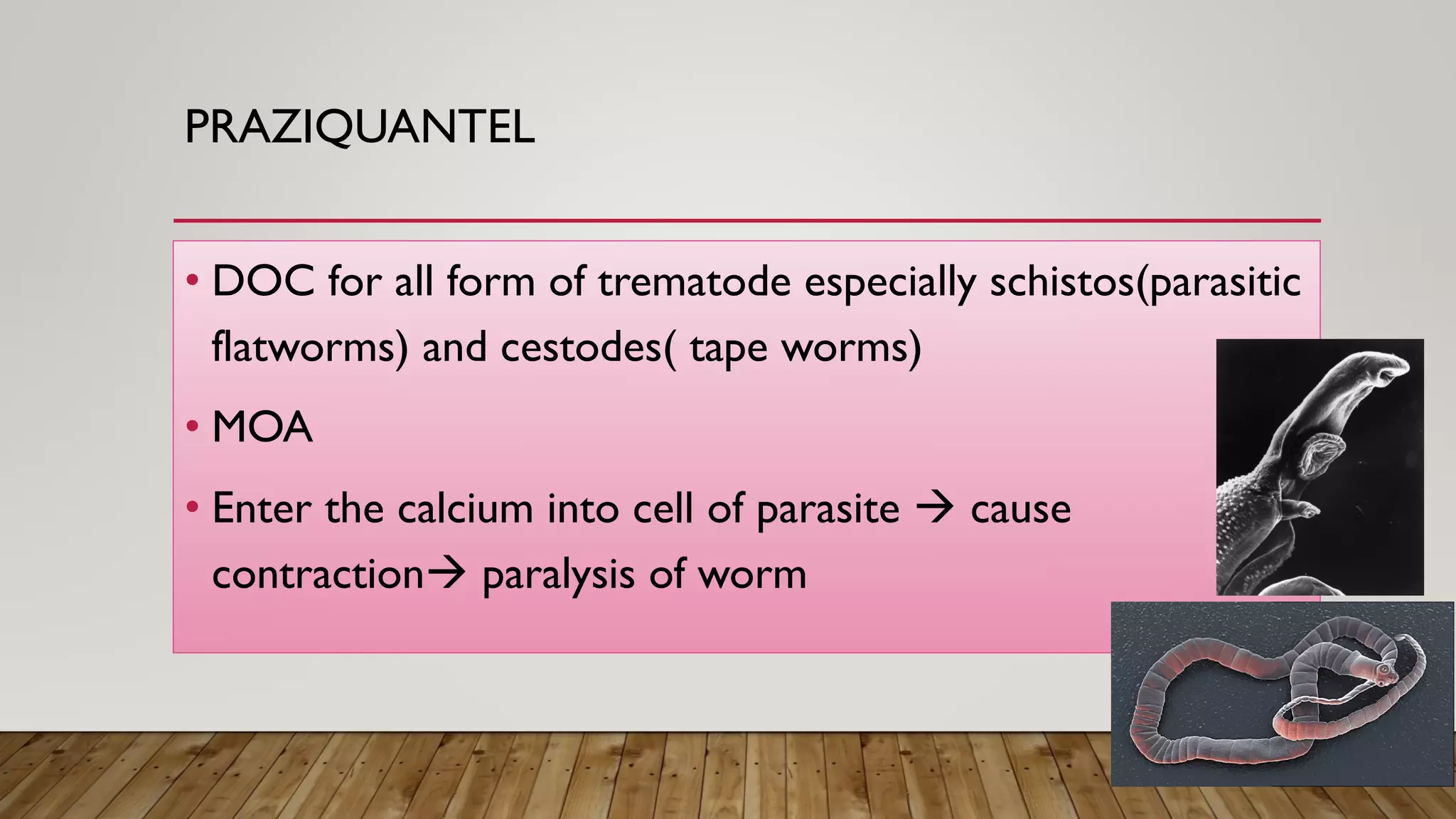 3.4 drugs used in inestinal worm infestations | PDF