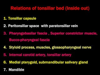 Tonsils and adenoids | PPT