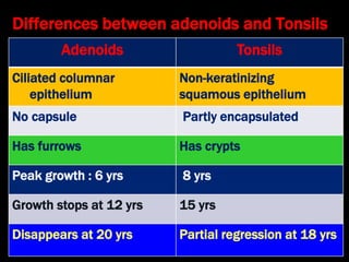 Tonsils and adenoids | PPT