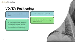 Optimizing Small Animal Thoracic Radiographs | PPT