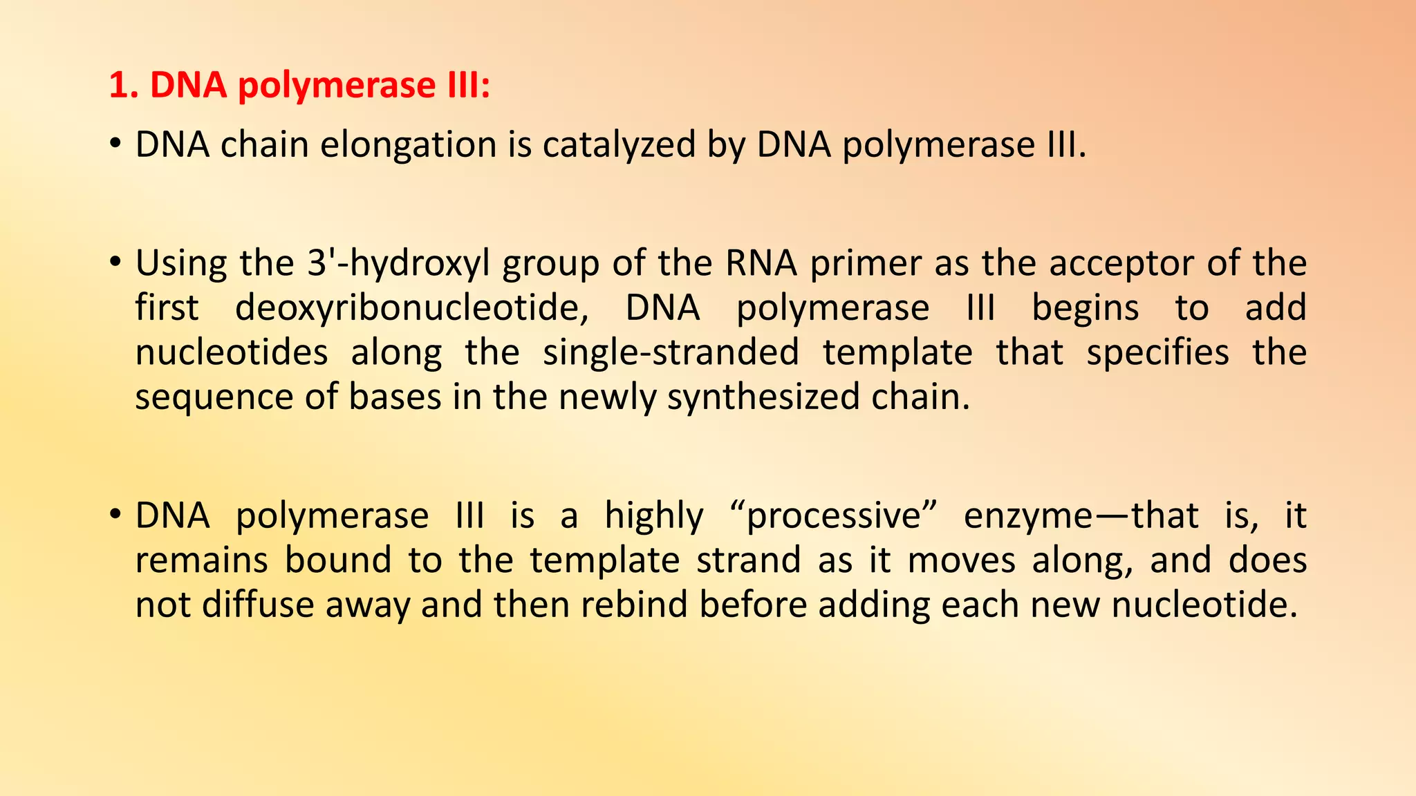 3. direction and elongation of dna replication in prokaryotes | PPT