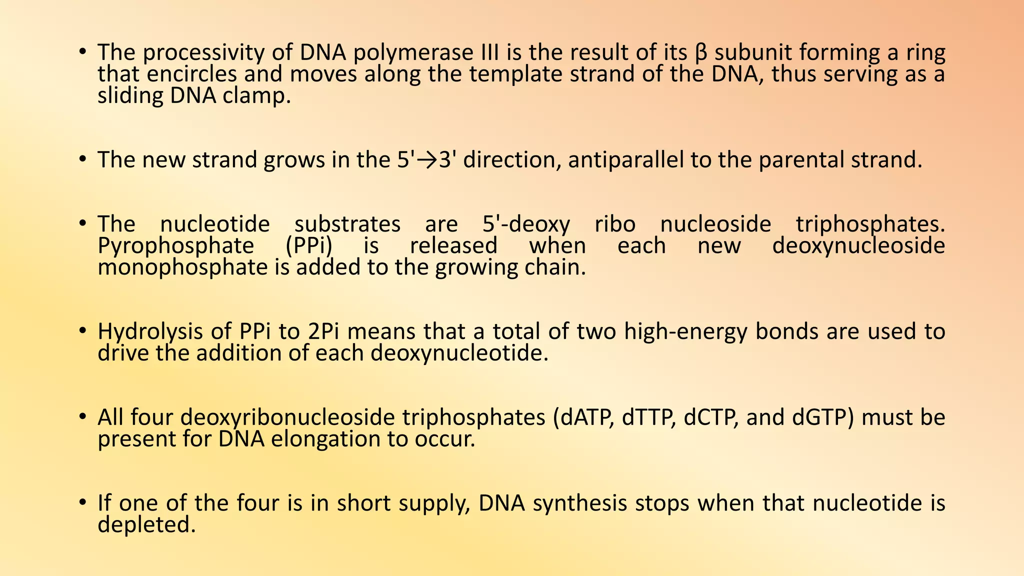 3. direction and elongation of dna replication in prokaryotes | PPT
