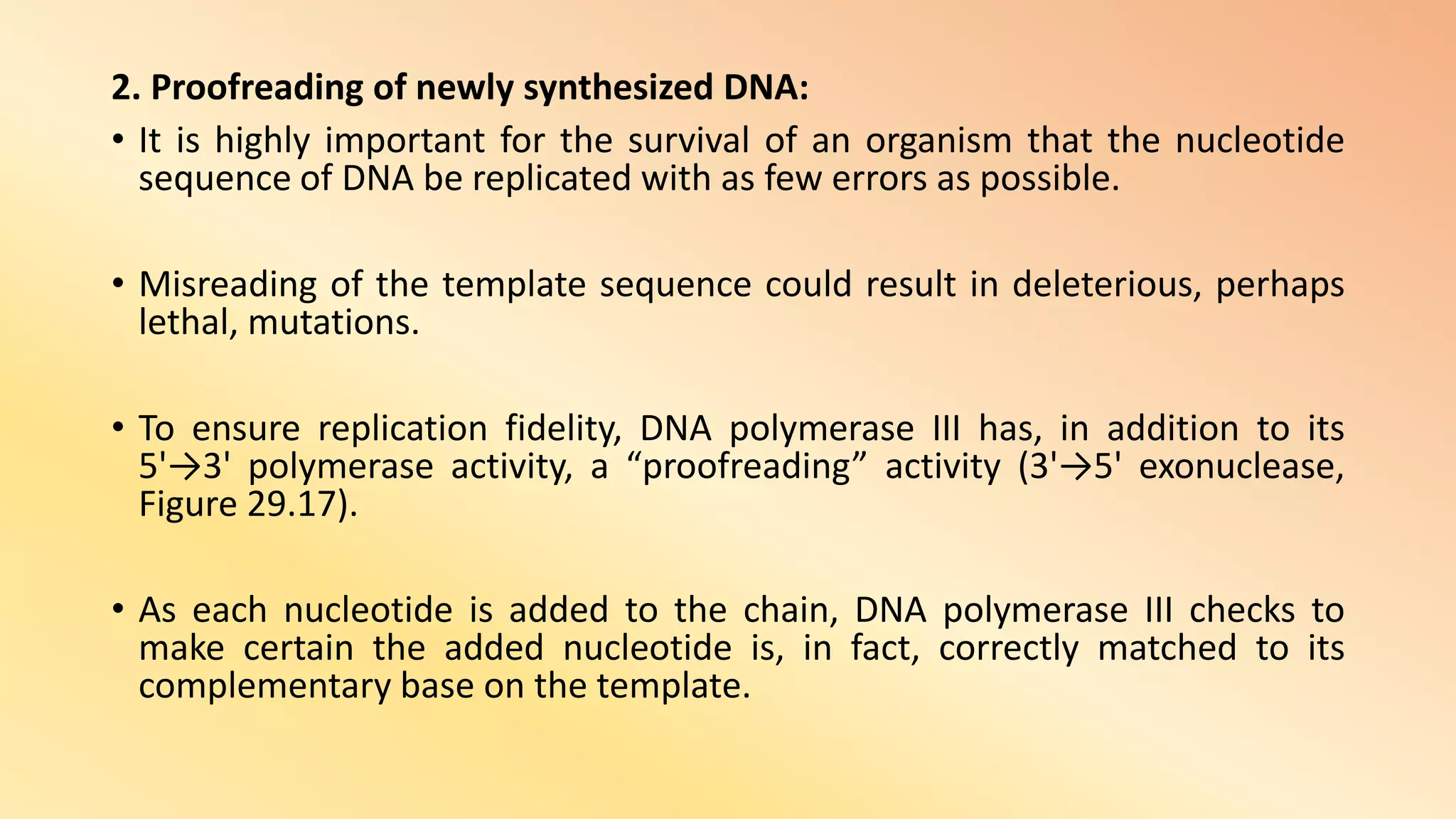 3. direction and elongation of dna replication in prokaryotes | PPT