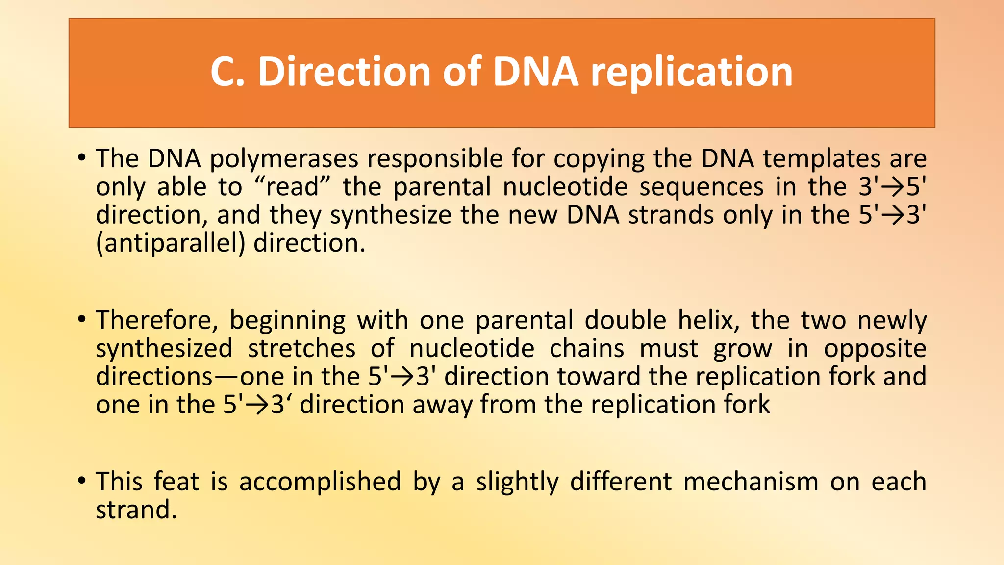 3. direction and elongation of dna replication in prokaryotes | PPT