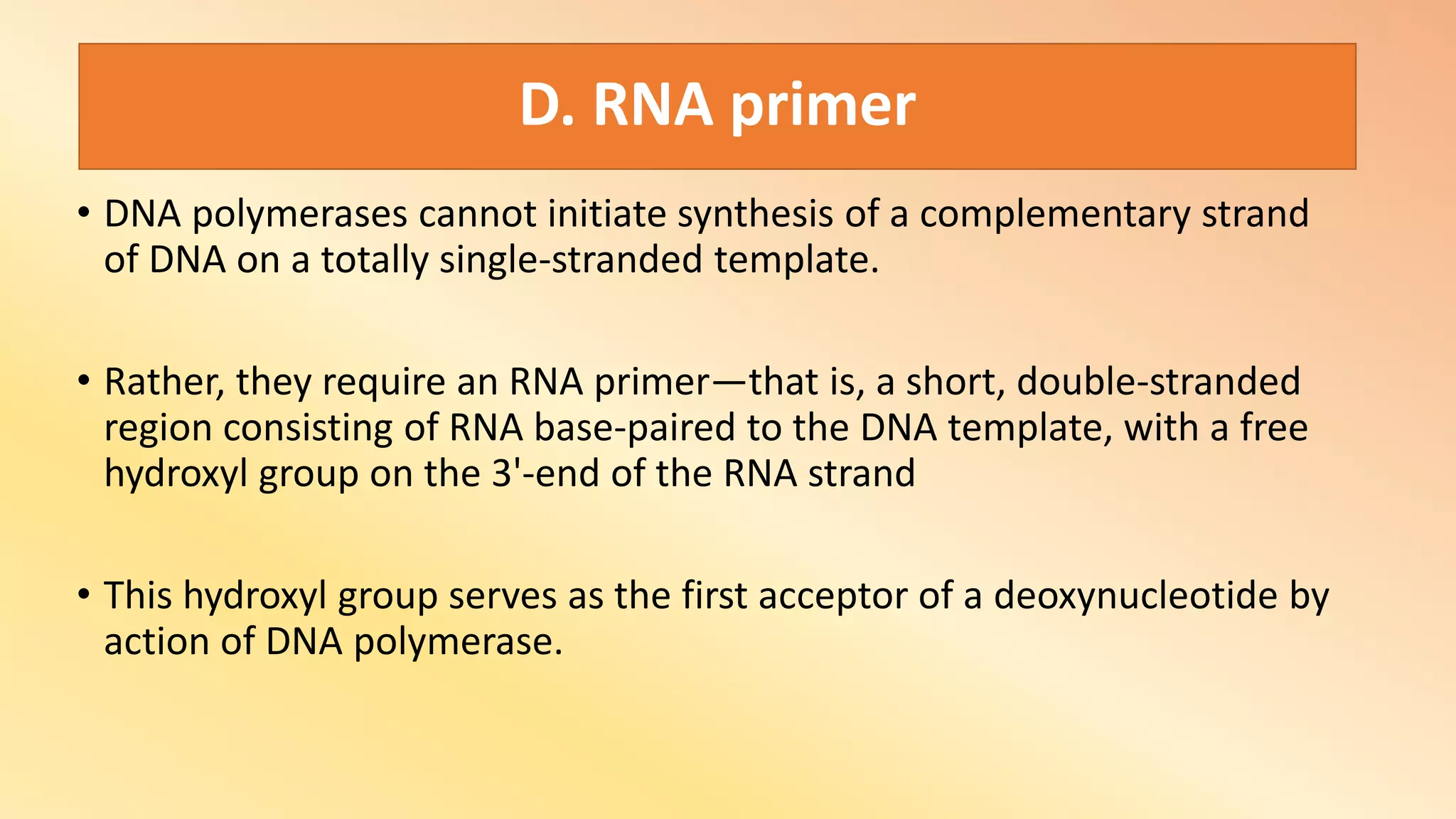 3. direction and elongation of dna replication in prokaryotes | PPT