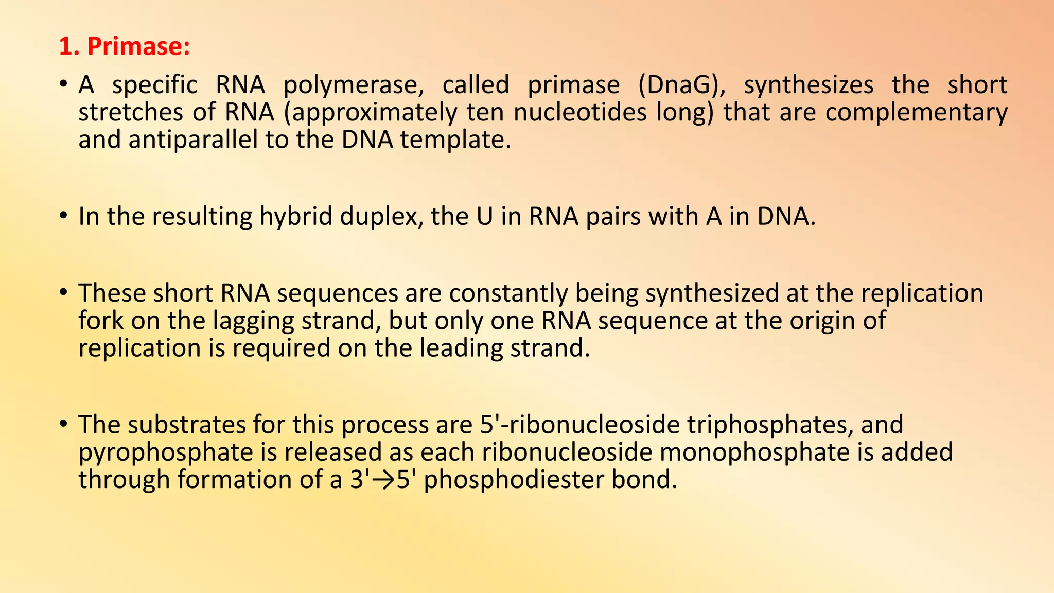 3. direction and elongation of dna replication in prokaryotes | PPT