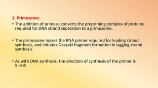 3. direction and elongation of dna replication in prokaryotes | PPT