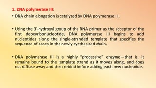 3. direction and elongation of dna replication in prokaryotes | PPT
