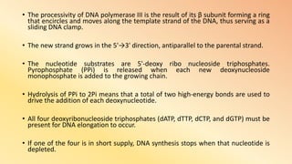 3. direction and elongation of dna replication in prokaryotes | PPT