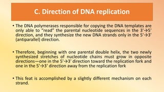 3. direction and elongation of dna replication in prokaryotes | PPT